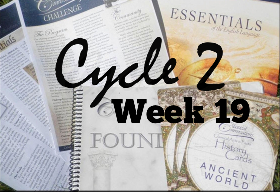 CC Cycle 2 Week 19 : Half a Hundred Acre Wood