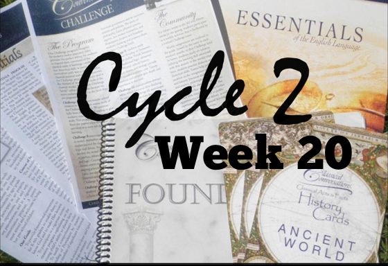 CC Cycle 2 Week 20 : Half a Hundred Acre Wood