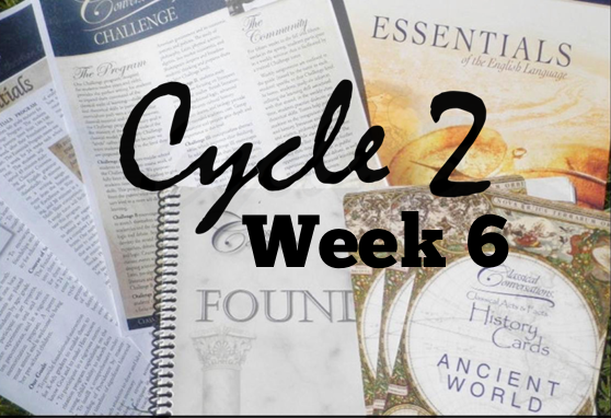 Classical Conversations Cycle 2 Week 6 : Half a Hundred Acre Wood
