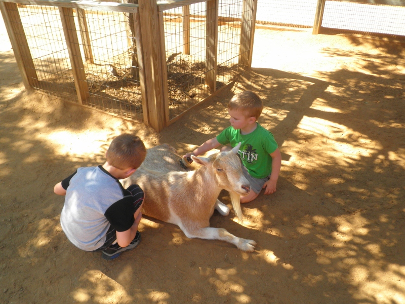 Once upon a time... {Visiting Houston} : Half a Hundred Acre Wood