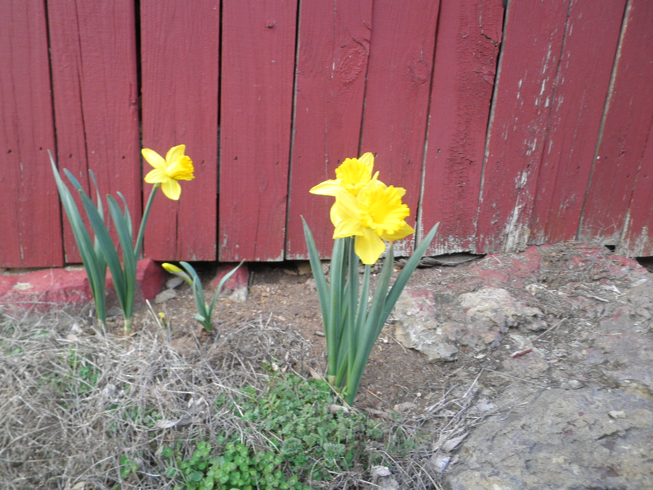 Spring Break Week : Half a Hundred Acre Wood