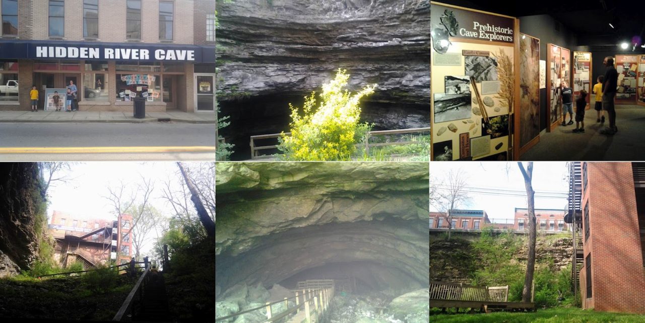 Kentucky's Cave Country : Half a Hundred Acre Wood