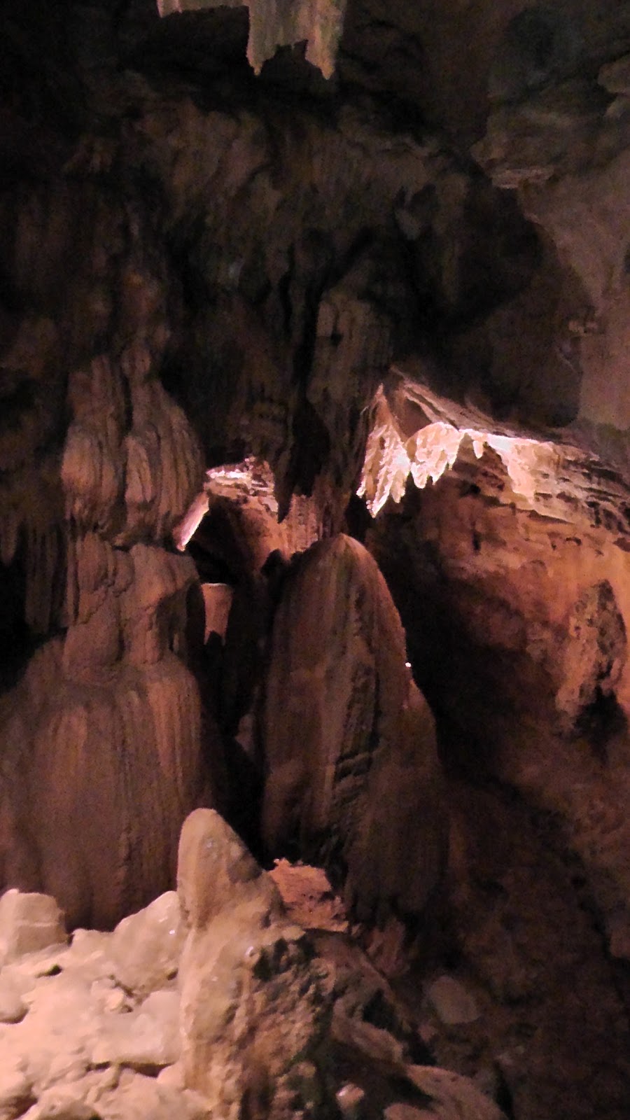 Kentucky's Cave Country : Half a Hundred Acre Wood