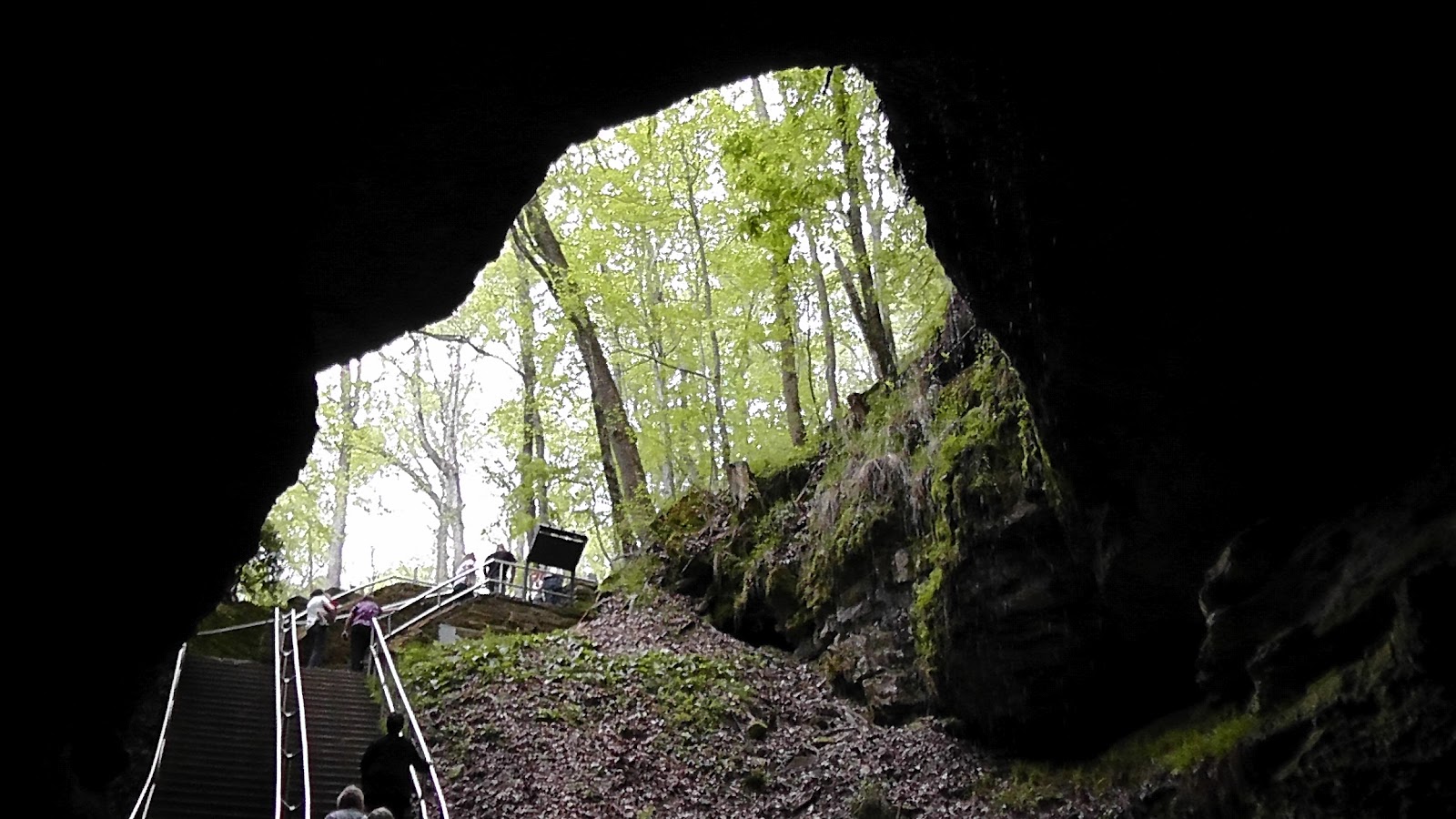 Kentucky's Cave Country : Half a Hundred Acre Wood