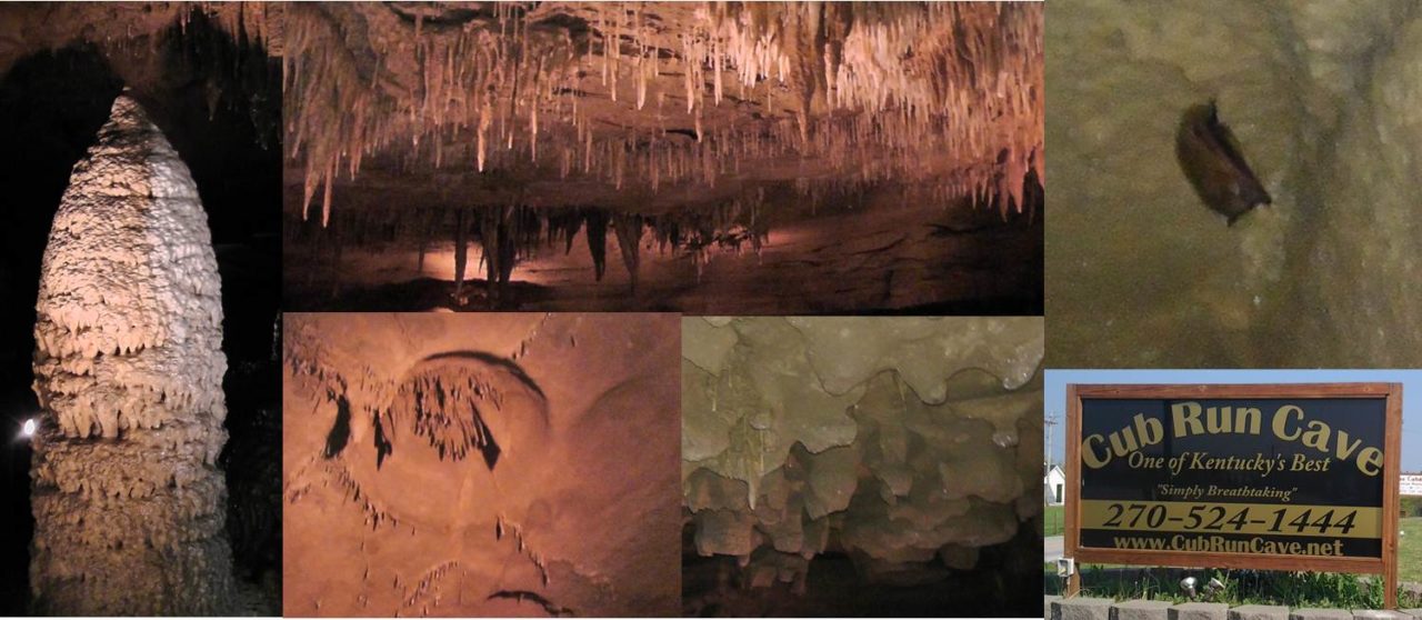 Kentucky's Cave Country : Half a Hundred Acre Wood