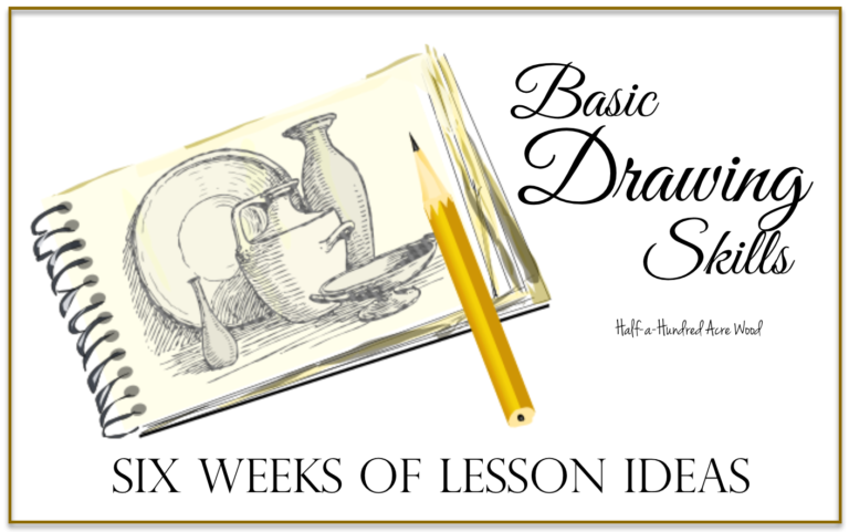 Basic Drawing Skills: Six Weeks of Lesson Ideas : Half a Hundred Acre Wood