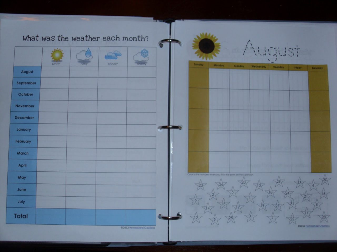 The Breakfast Notebook : Half a Hundred Acre Wood