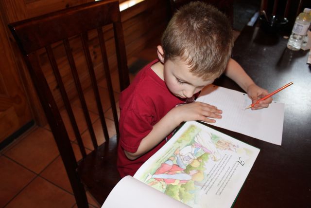 Copywork, Dictation, Narration & Observation: A Beginner's Guide : Half ...