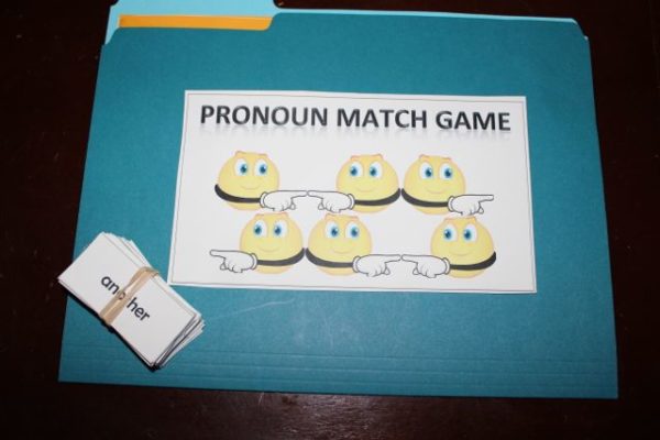 Pronoun Match-Up File Folder Game : Half a Hundred Acre Wood