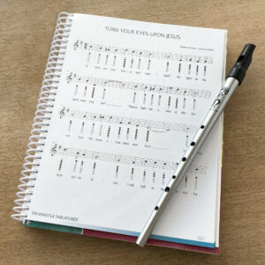 Tin Whistle & Music Theory : Half a Hundred Acre Wood