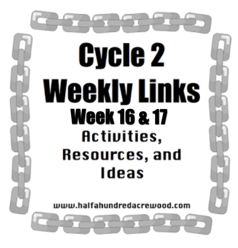 CC Cycle 2 Week 16 and Week 17 : Half a Hundred Acre Wood