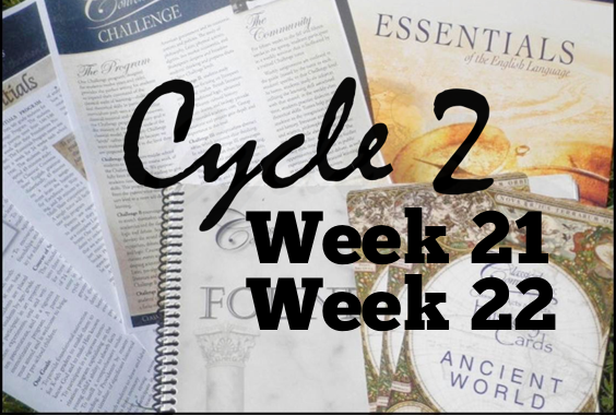 CC Cycle 2 Week 21 & Week 22 : Half a Hundred Acre Wood