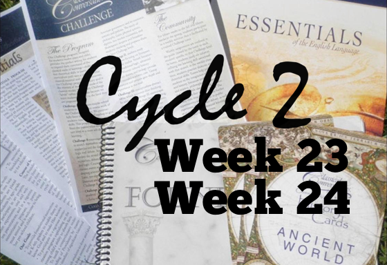 CC Cycle 2 Week 23 & Week 24 : Half a Hundred Acre Wood