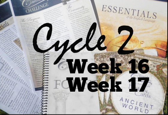 CC Cycle 2 Week 16 and Week 17 : Half a Hundred Acre Wood