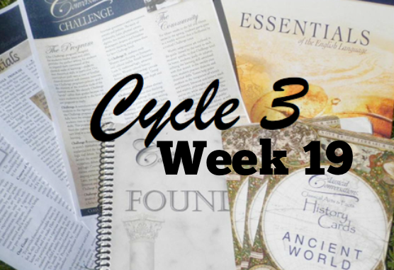 Classical Conversations Cycle 3 Week 19 : Half a Hundred Acre Wood