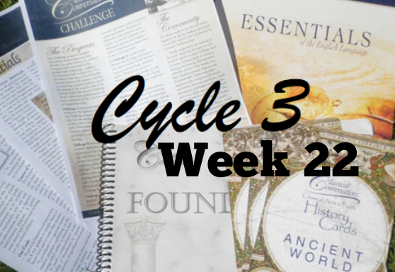 Classical Conversations Cycle 3 Week 22 : Half a Hundred Acre Wood