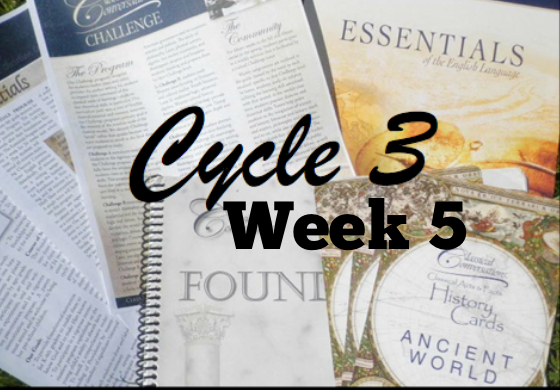 Classical Conversations Cycle 3 Week 5 : Half a Hundred Acre Wood