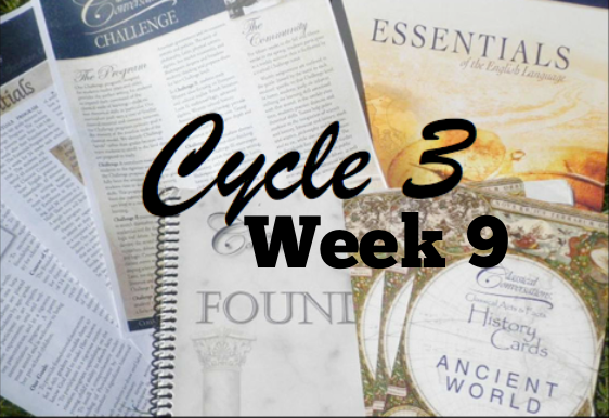 Toys Learning & School Toys & Games CC Cycle 1 *PDF* Bingo Memory ...