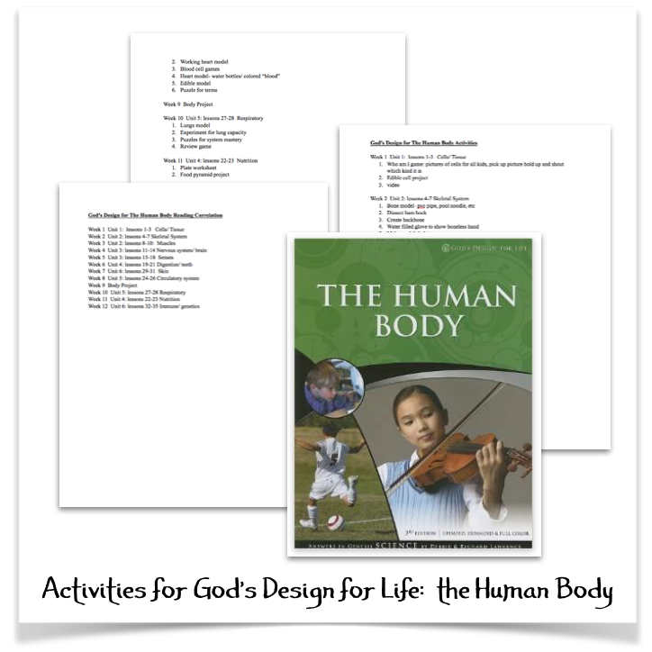 God's Design for Life: The Human Body {Correlated Activities} : Half a ...