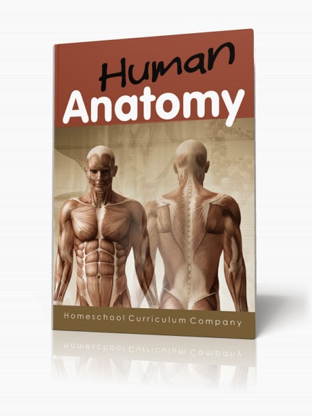 Human Anatomy + Biblical Connections : Half a Hundred Acre Wood