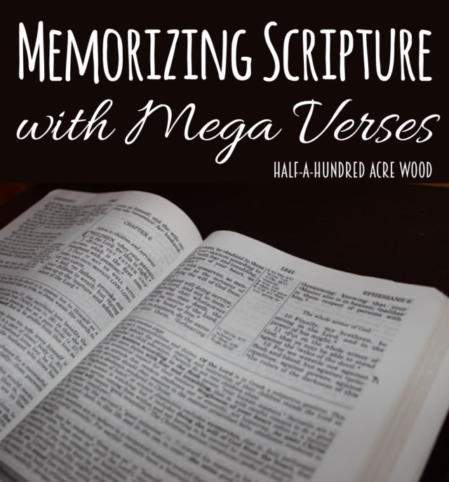 Memorize Scripture: Genesis 1, John 1, Exodus 20, and more! : Half a ...