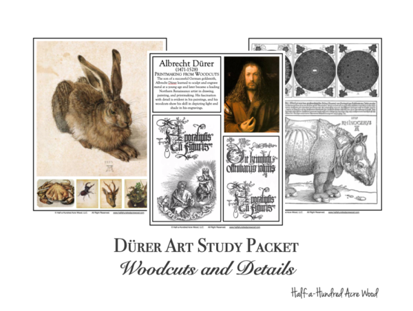 Durer Art Project : Half a Hundred Acre Wood