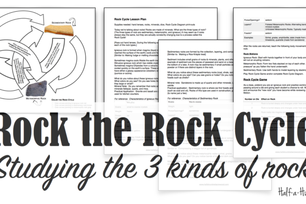 CC CYCLE 1 Archives : Half a Hundred Acre Wood