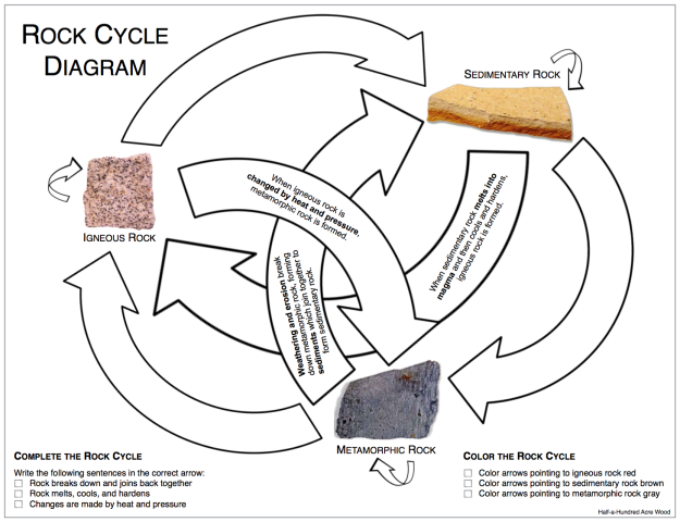 Rock the Rock Cycle Lesson Plans : Half a Hundred Acre Wood