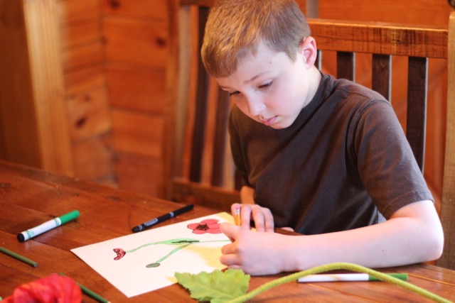 Linnaeus Art Project: Botanical Illustrations : Half a Hundred Acre Wood