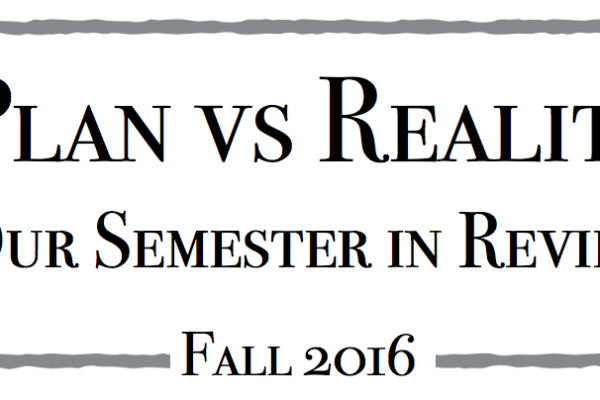 PLAN VS. REALITY Archives : Half a Hundred Acre Wood