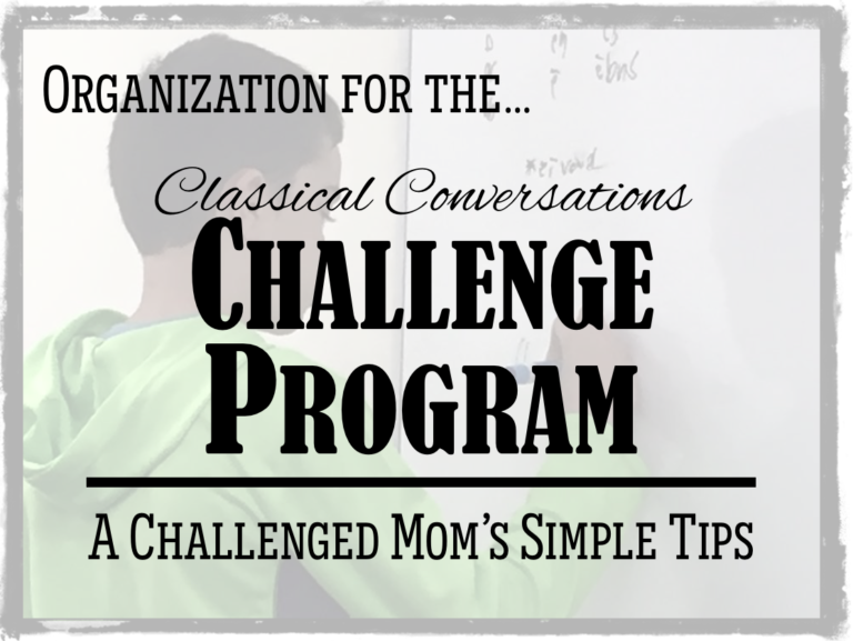 A Seasoned Mom's Tips for the Challenge Program : Half a Hundred Acre Wood