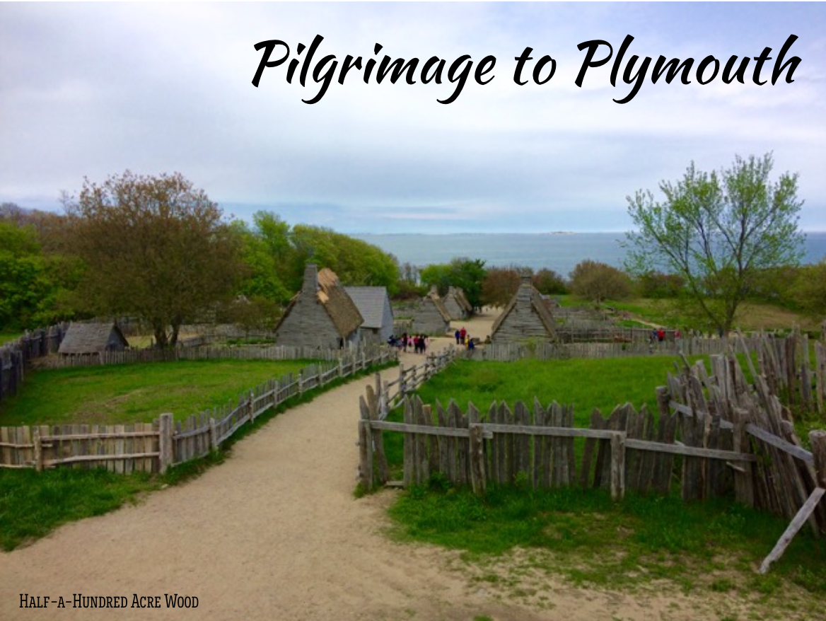 A Pilgrimage to Plymouth : Half a Hundred Acre Wood