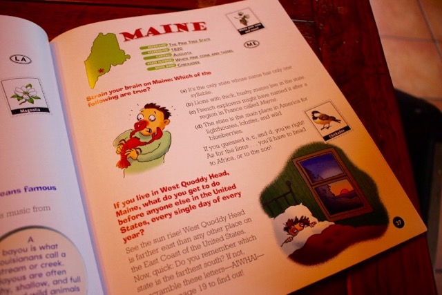 A sneak peek at our first few weeks : Half a Hundred Acre Wood