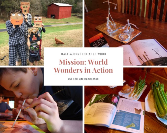 CC CYCLE 1 Archives : Half a Hundred Acre Wood