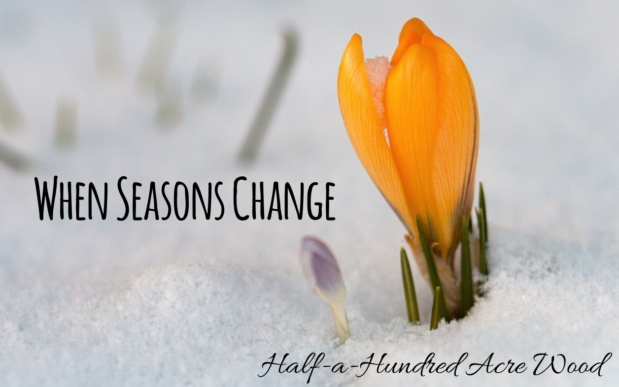 When Seasons Change : Half a Hundred Acre Wood