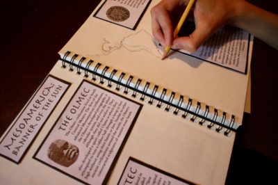 The Making of a History Portfolio : Half a Hundred Acre Wood