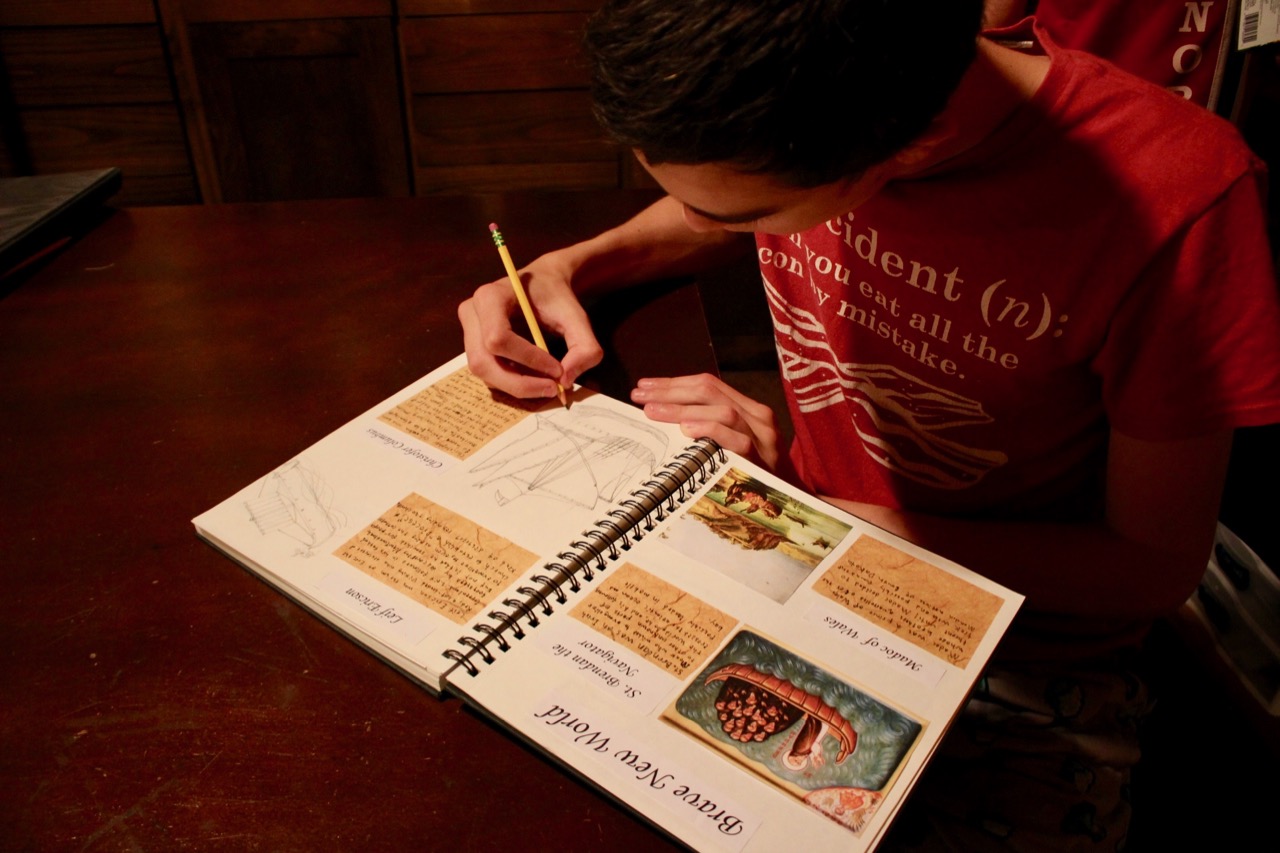 The Making Of A History Portfolio Half A Hundred Acre Wood