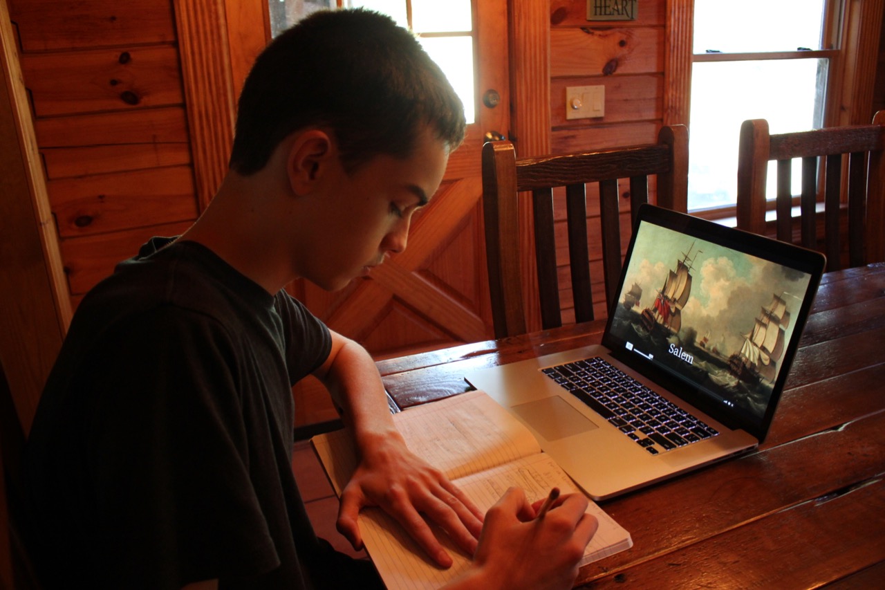 The Making of a History Portfolio : Half a Hundred Acre Wood