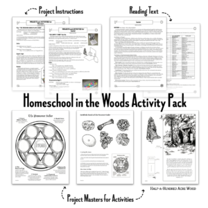 History of the Holidays: Family Activities : Half a Hundred Acre Wood