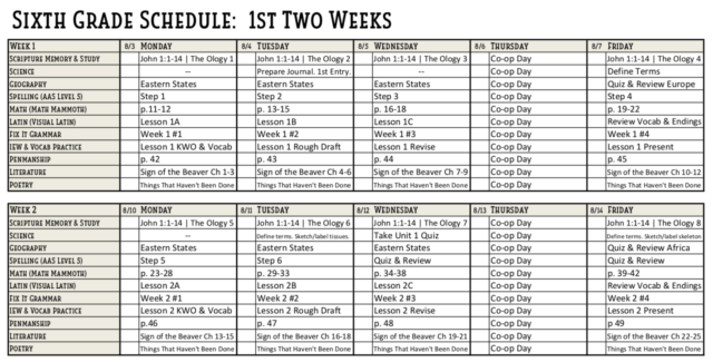 Homeschool Scheduling & Curriculum Choices (Elementary through High ...
