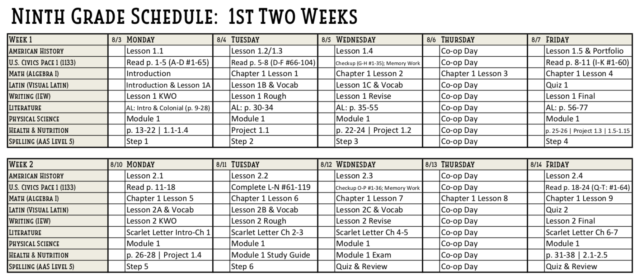 Homeschool Scheduling & Curriculum Choices (Elementary through High ...