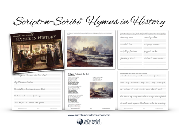 Home : Half a Hundred Acre Wood