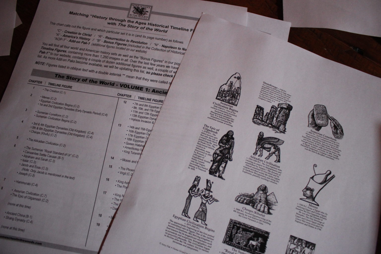 Story of the World Timeline Notebook : Half a Hundred Acre Wood