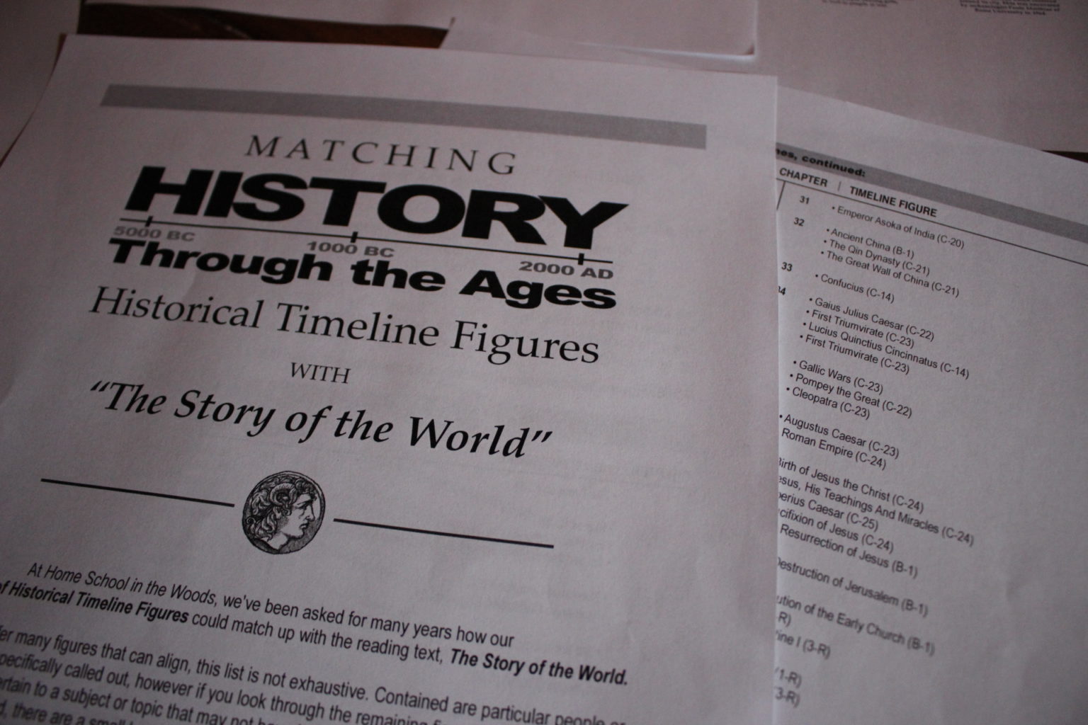 Story of the World Timeline Notebook : Half a Hundred Acre Wood