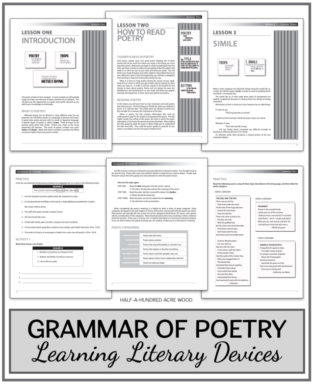 Learning the Grammar of Poetry : Half a Hundred Acre Wood