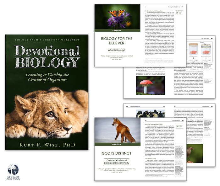 Devotional Biology: A Different Approach : Half a Hundred Acre Wood
