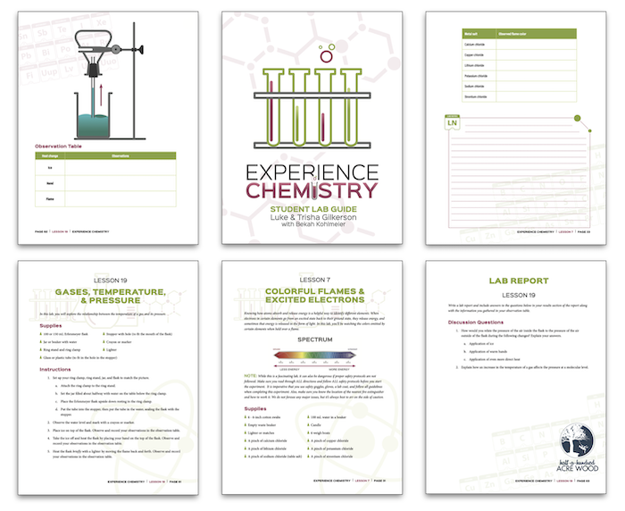 High School Chemistry Simplified : Half a Hundred Acre Wood