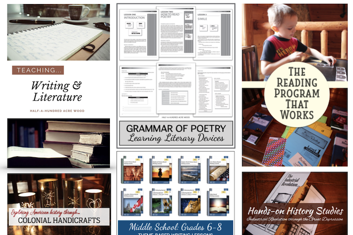 Classical Conversations Cycle 3 Week 14 : Half a Hundred Acre Wood